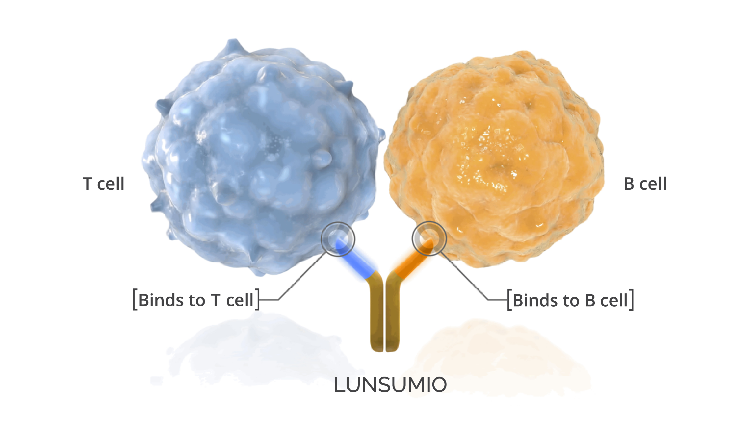 Treatment option for follicular lymphoma (FL) in people whose cancer ...